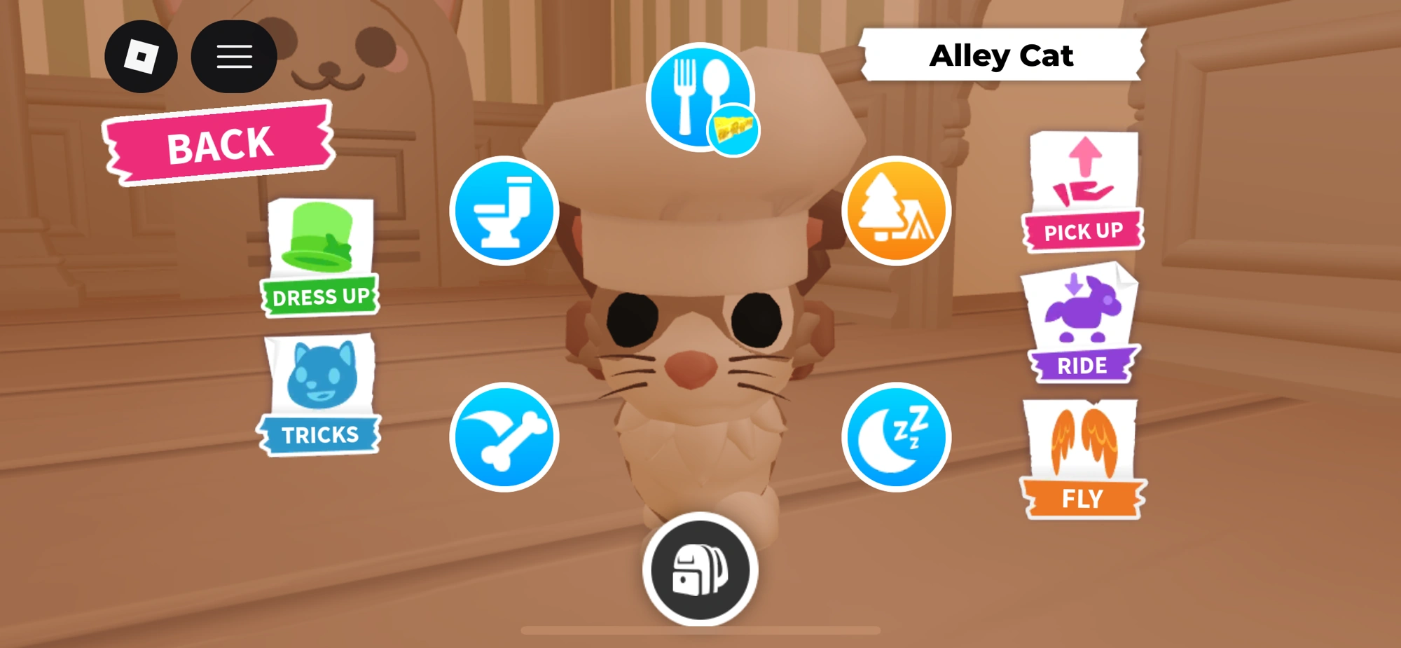 oh kitty kityyyy | Fandom