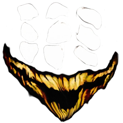 orange nilly | Fandom