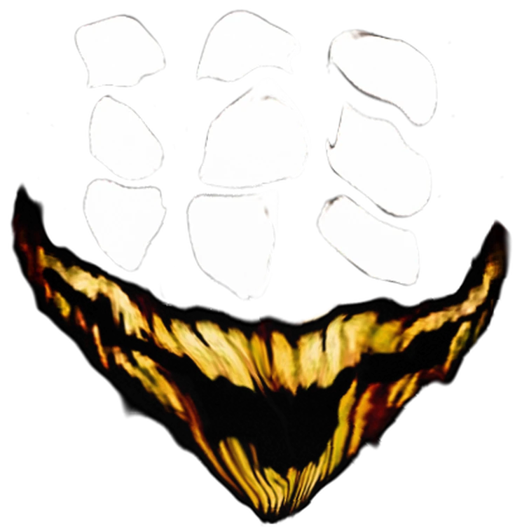 orange nilly | Fandom