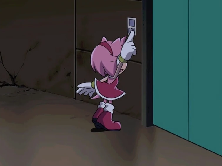 Amy Rose is the cutest thing i've saw in my life! | Fandom