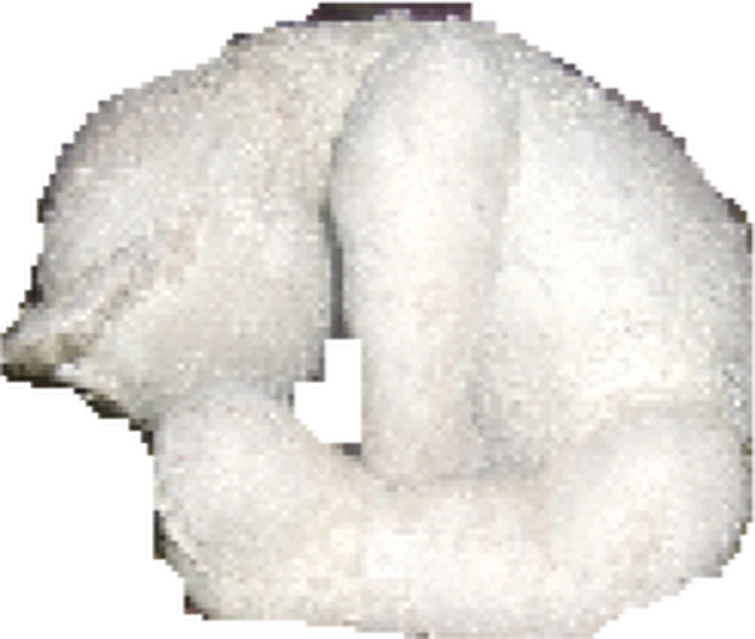 Discuss Everything About Roblox BEAR Wiki | Fandom