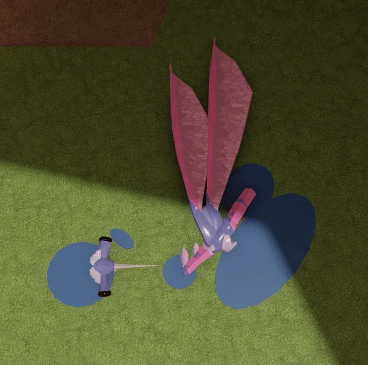 Nocalii that was 49 years old found dead in today's morning on kiray ...