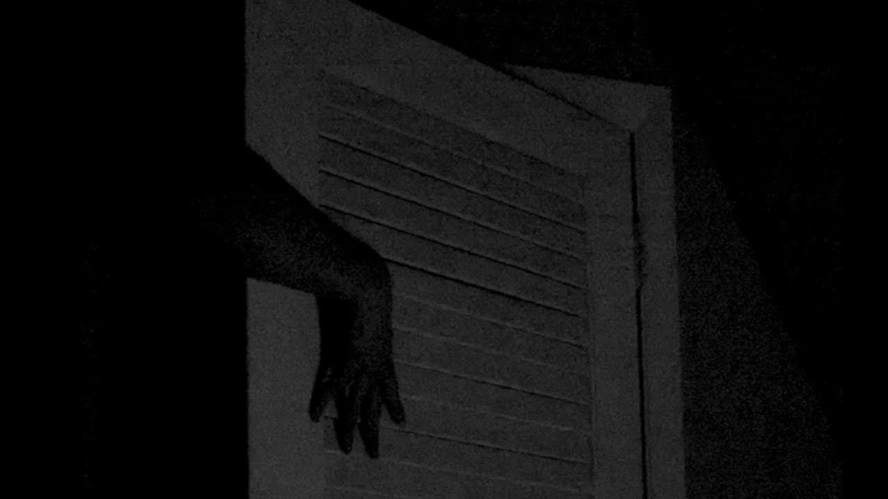 FOR TMC Fans: | Fandom