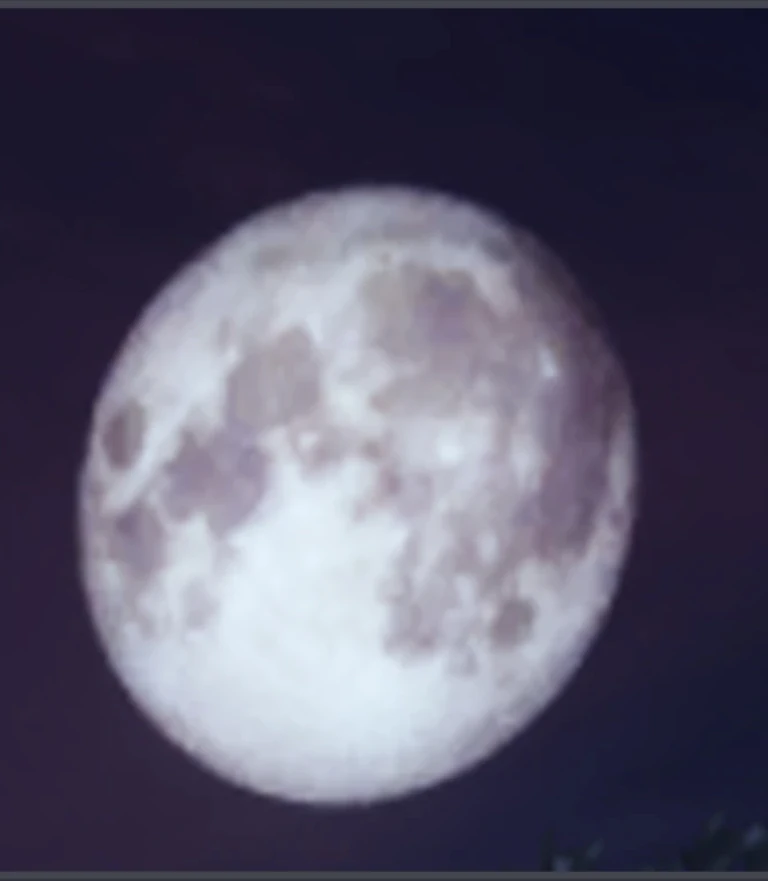 NPC hunting goes wrong | Fandom