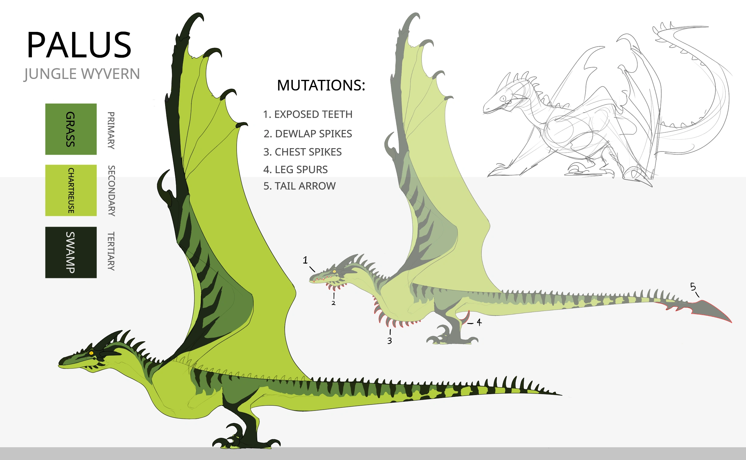Palus redesign! | Fandom