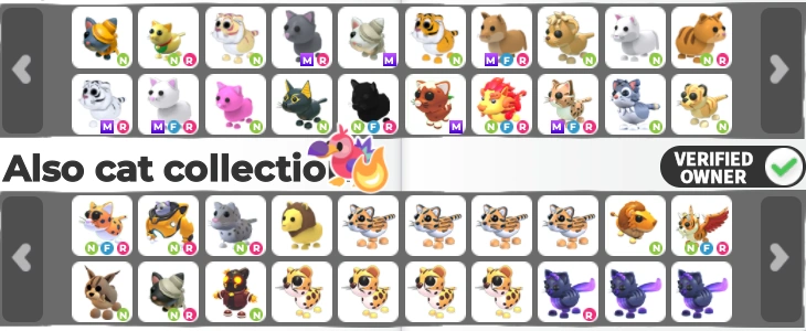 cat collection yayay | Fandom