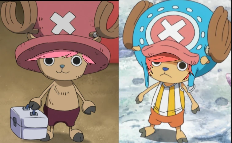 Chopper with human hair | Fandom