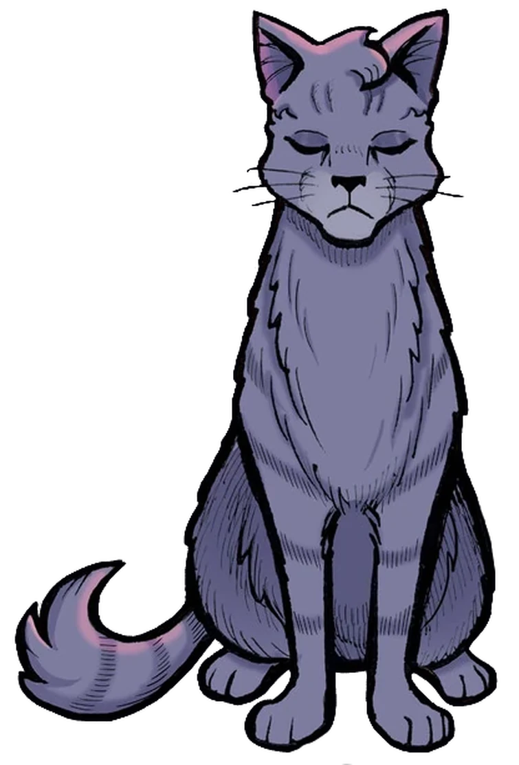 Send me pics of cats | Fandom