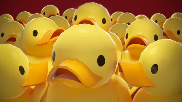 DUCKY D00MED | Fandom