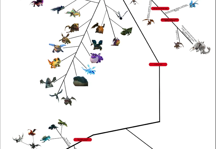 An Unfinished Dragon Cladogram | Fandom