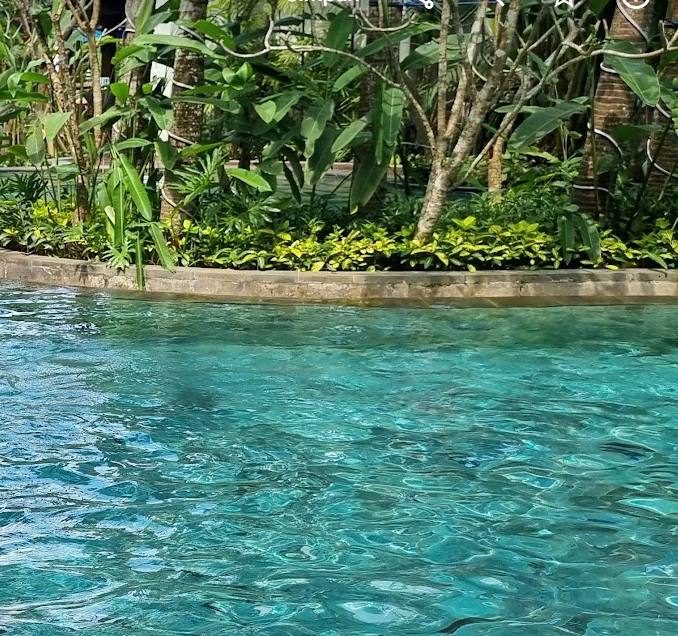 Swimming pool | Fandom