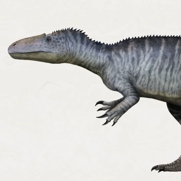 Discuss Everything About Dinopedia | Fandom