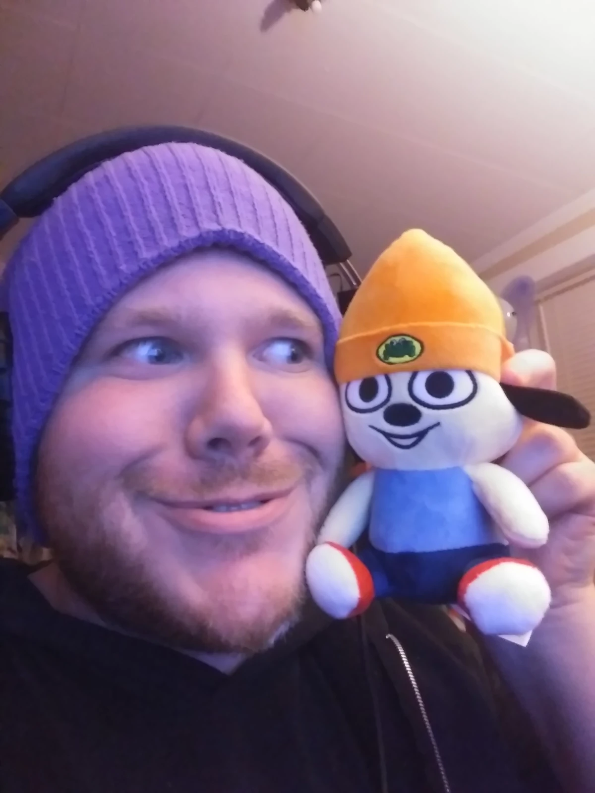 Pippin Kelly | Eddsworld Wiki | Fandom