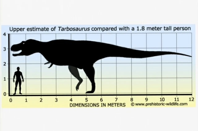 Albertasaurus vs Tarbosaurus | Fandom