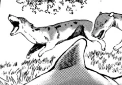 Ictitherium | Eden no Ori Wiki | Fandom