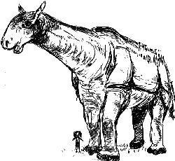 Paraceratherium | Eden no Ori Wiki | Fandom