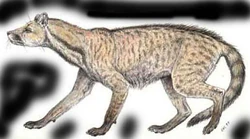 Ictitherium | Eden no Ori Wiki | Fandom