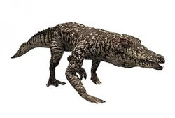 Pristichampus | Eden no Ori Wiki | Fandom