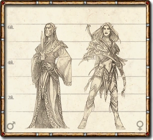 Elf | Eden's Twilight Wiki | Fandom