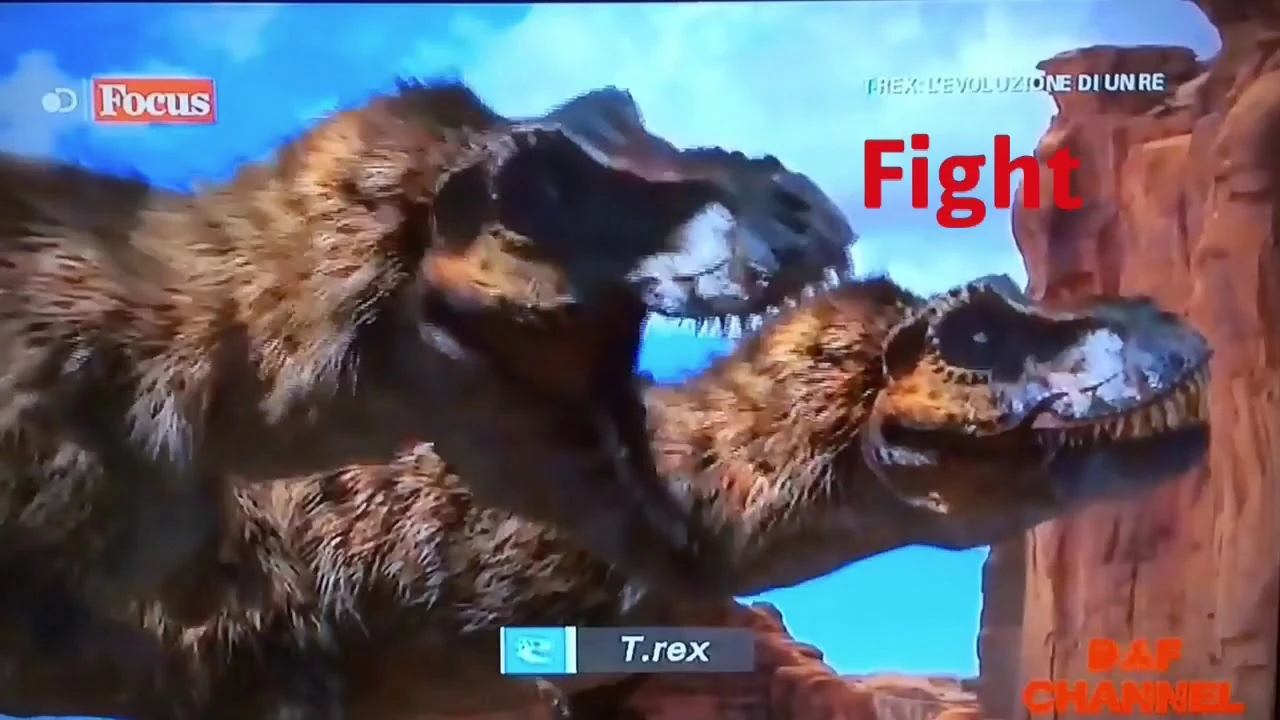 Woah, those arent t rex, those are lythronax iirc, plus, how can they ...