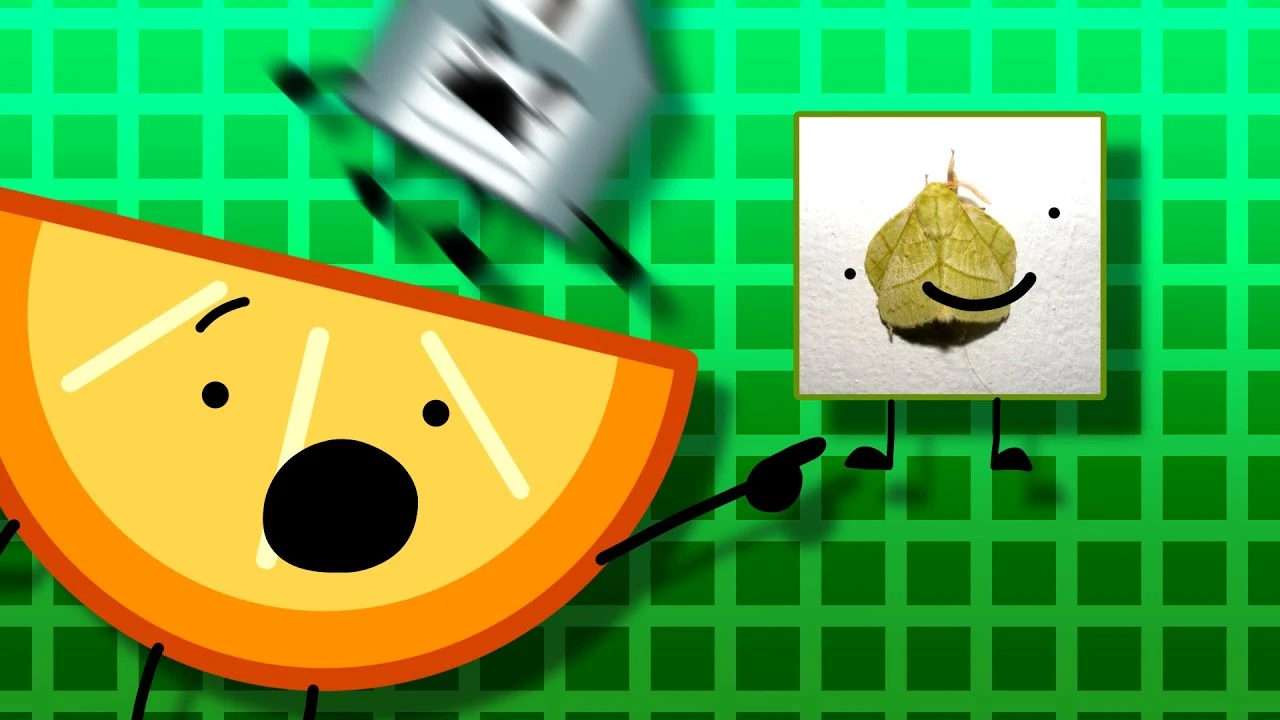 5 days left to vote on my object show | Fandom