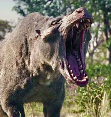 Discuss Everything About Dinopedia | Fandom