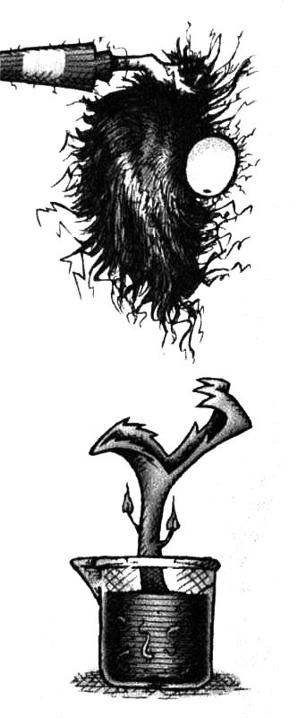 Morella | Edgar and Ellen Wiki | Fandom