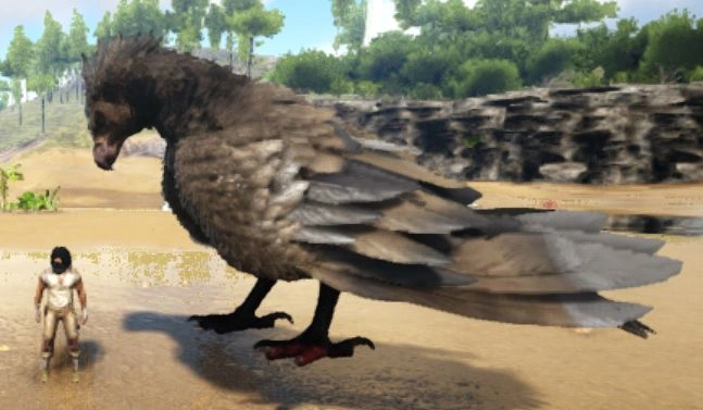 Argentavis | Edge Of The Abyss Wiki | Fandom