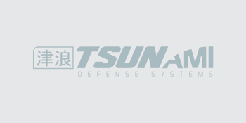 Tsunami Defense Systems | Edgerunner Wiki | Fandom
