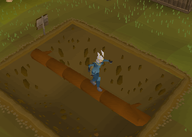Agility | Edgeville Wiki | Fandom