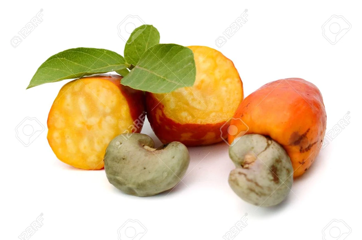 Κάσιου/Εικόνες | Edible Plants Wiki | Fandom