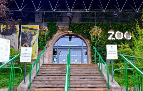 Edinburgh Zoo | Edinburgh Wiki | Fandom