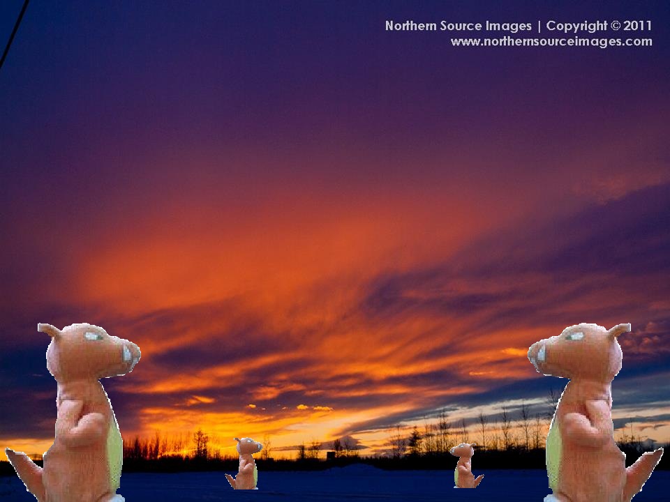 Northern Source Images Edmorks Wiki Fandom