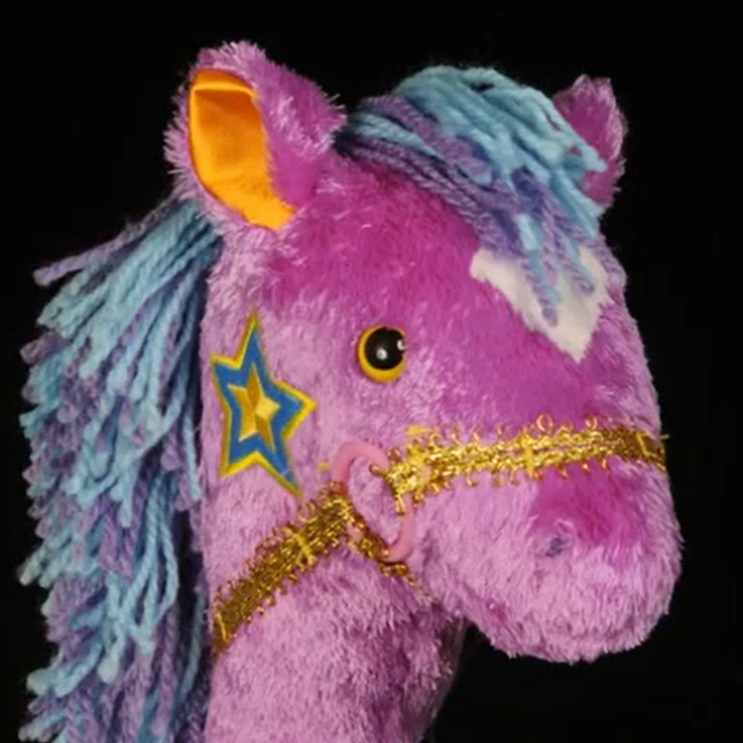 Fancy Prayer Precious Pony | Electric Dragon Productions Wiki | Fandom