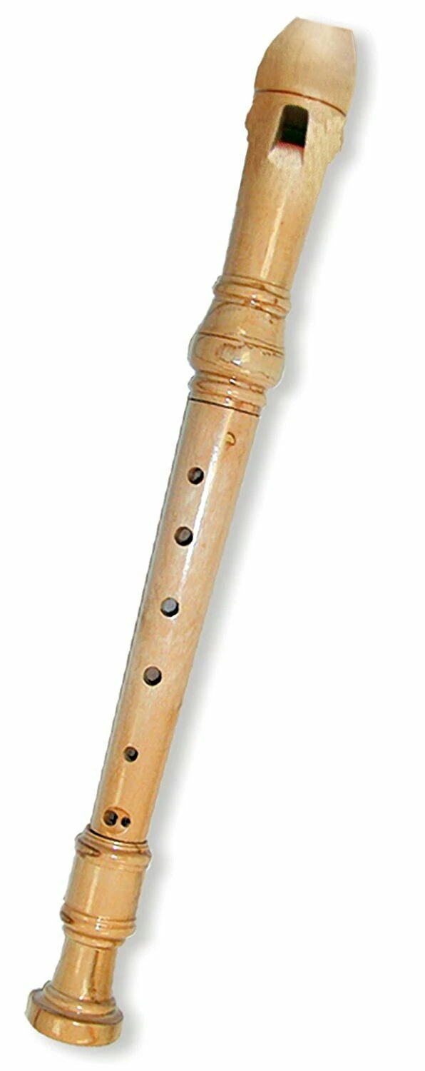 Makin' Music Instruments: Recorder | Electric Dragon Productions Wiki ...