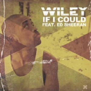 If I Could | Ed Sheeran Wiki | Fandom