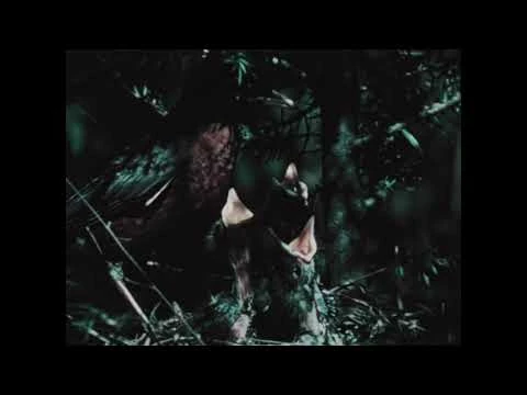 Mr. And Mrs. Robin's Family (Revised) | Educational Film Wiki | Fandom