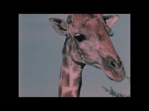 Biomes: An Introduction | Educational Film Wiki | Fandom