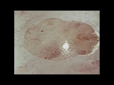 Flammable Liquid Fire Safety | Educational Film Wiki | Fandom