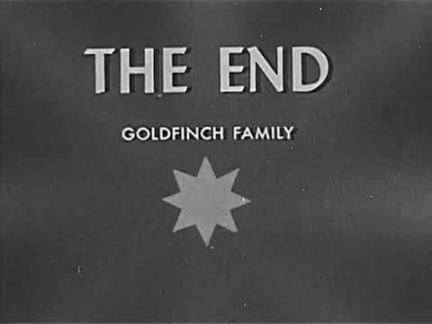Goldfinch Family | Educational Film Wiki | Fandom