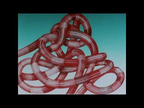 Cell Biology: The Nucleus | Educational Film Wiki | Fandom