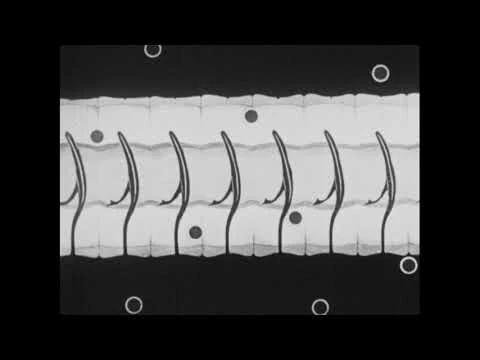 The Earth Worm | Educational Film Wiki | Fandom