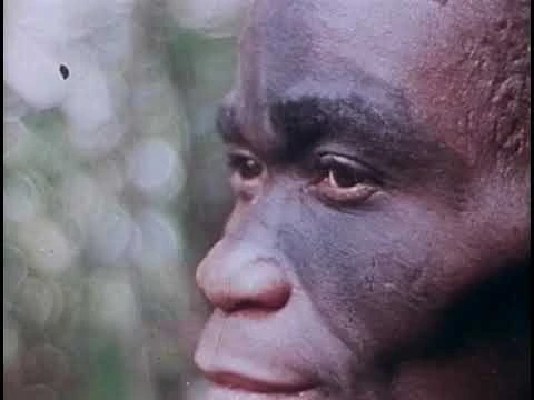 The Aggressive Impulse | Educational Film Wiki | Fandom