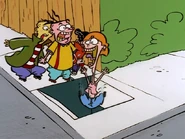 Fool on the Ed/Gallery | Ed, Edd n Eddy | Fandom