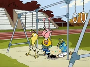 Cool Hand Ed/Gallery | Ed, Edd n Eddy | Fandom