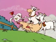 Shoo Ed/Gallery | Ed, Edd n Eddy | Fandom