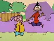 Fool on the Ed/Gallery | Ed, Edd n Eddy | Fandom