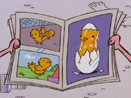 Little Ed Blue/Gallery | Ed, Edd n Eddy | Fandom