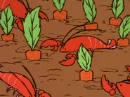 Scrambled Ed/Gallery | Ed, Edd n Eddy | Fandom