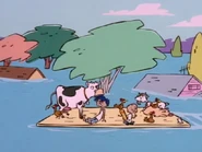 Scrambled Ed/Gallery | Ed, Edd n Eddy | Fandom